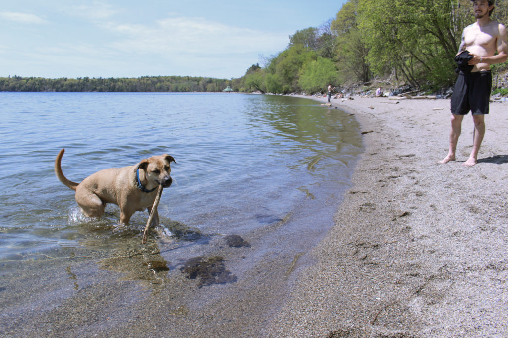 Afternoon Break Spots – 12-22 North: Vermont Green Offices
